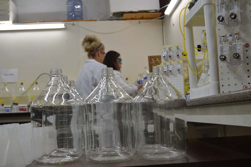 ASTM D5338 vs D5988 Biodegradability Testing: A Technical Comparison ...